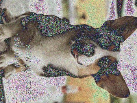 OpenCV Ascend NPU Image Processing