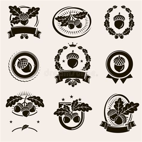 Acorns Label And Icon Set Collection Icon Acorns Stock Illustration