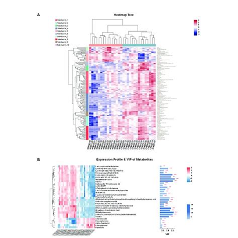 Ftc And Ftn Tissue Metabolites Clustering Heat Map And Vip Diagram A