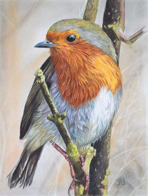 Вышитые птички невелички Идеи и схемы Кладовая рукодельницы Дзен