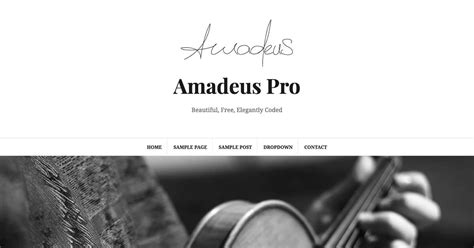 Amadeus Pro Minimal Wordpress Blogging Theme Themeisle