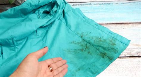 Як видалити плями іржі на одязі секретний спосіб який неодмінно має допомогти Politeka