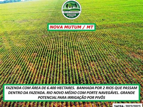 FAZENDA ESTRUTURADA AGRICULTURA DE PRECISÃO EM NOVA MUTUM MT
