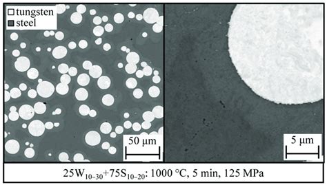 Cross Sectional Sem Micrograph Of 25 W Composite Sintered With