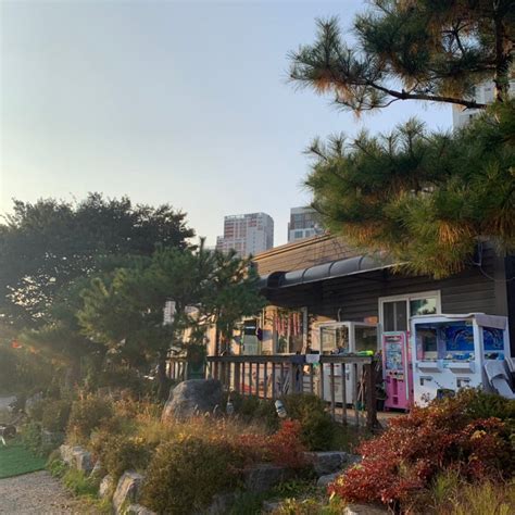 양주 글램핑장 양주 탑글램핑 평일 당일치기 내돈내산 후기ft불멍🔥 네이버 블로그