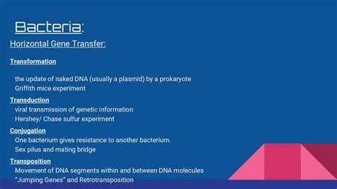 Biotechnology Nicole And Ahlina P2 Ppt Download