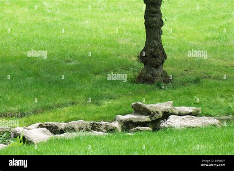 Complicated Tree Trunk Hi Res Stock Photography And Images Alamy