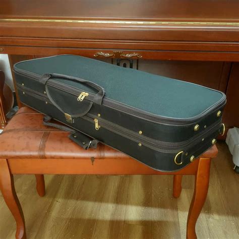 Professional Viola Case Violin Store