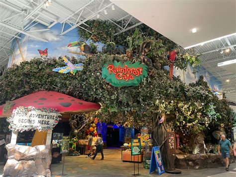 Rainforest Cafe In Katy Mills Mall Plans Massive 25m Renovation