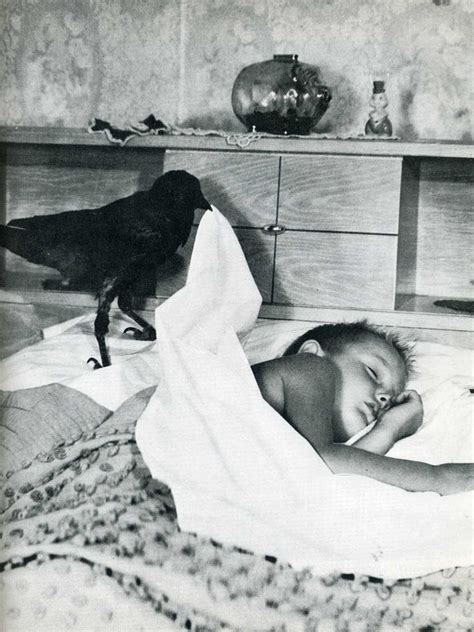Wait What Hilariously Bizarre Vintage Photos That Cant Be Explained