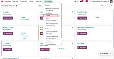 How To Manage Dropshipping In Odoo 17 Purchase Module