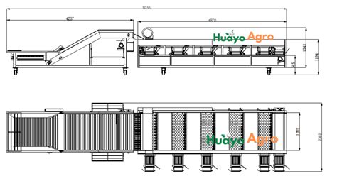 Hgb 8 Garlic Bulb Sorting Machine Best Garlic Machine