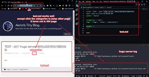 运行 `hugo Server` 期间出现的预览问题 And 月下影成双