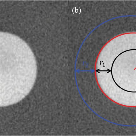 A Cbct Image Of The Evaluation Phantom After Geometry Calibration Download Scientific