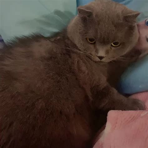 园园行走中的课堂：lucky猫和园园深情相望，再敬个礼握个手凤凰网视频凤凰网