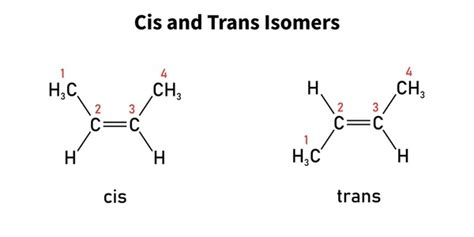 Cistrans Isomerismo Ismero Qumica Orgnica Imagen Png Cis Trans