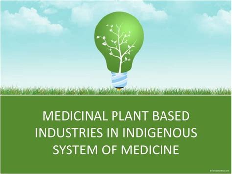 Current Scenerio Of Plant Based Formulation Industry Institutionpptx