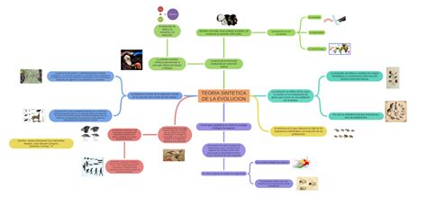 Teoria Sintetica De La Evolucion 3 Images Teoria Sintetica De La