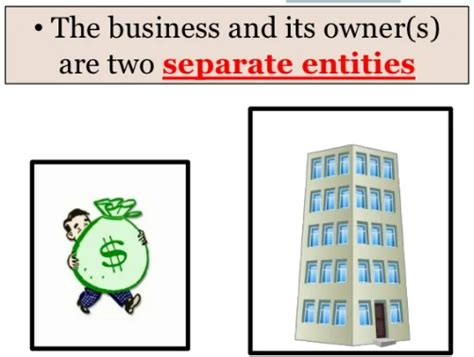 Business Entity Concept Algae Education Services