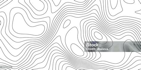 지형 지형도 산 등고선 높이 선 배경 흑백 풍경 지리적 패턴입니다 영역 그리드 텍스처입니다 벡터 누른 자국에 대한 스톡 벡터 아트 및 기타 이미지 Istock