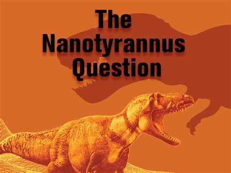 Nanotyrannus Wiki Nanotyrannus Wikipedie