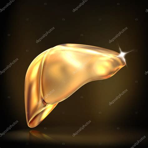 Золотая печень на черном фоне — Стоковое фото © Sector 2010 66025015