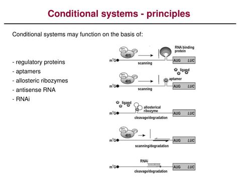 Ppt Conditional Systems Principles Powerpoint Presentation Free