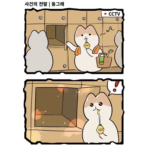 「고양이 찜질방 세신 개시 고양이 만화 웹툰 고양이만화 고양이찜질방 」동그래の漫画