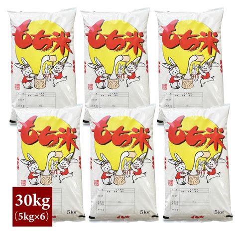 もち米 30kg （5kg×6袋） 岐阜県産 複数原料米 送料無料 Mochikome 30 うまい米ショップ 通販