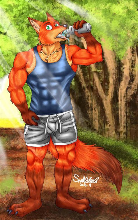 Nick Wilde Exercise By A70701111 On Deviantart