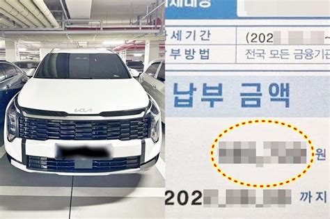 자동차 세금 까주겠다 선언 모르면 손해라는 이 혜택 대체 뭐길래