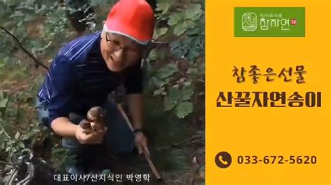 산꿀자연송이 참자연영농조합법인 Youtube