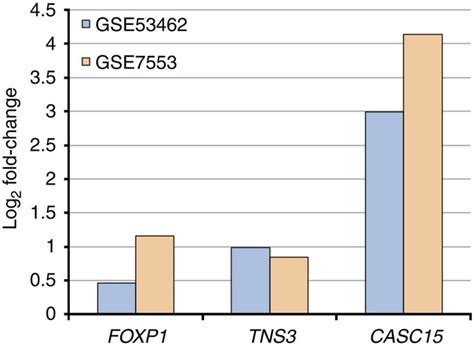 Gene Expression Analysis For Novel Bcc Susceptibility Loci Processed