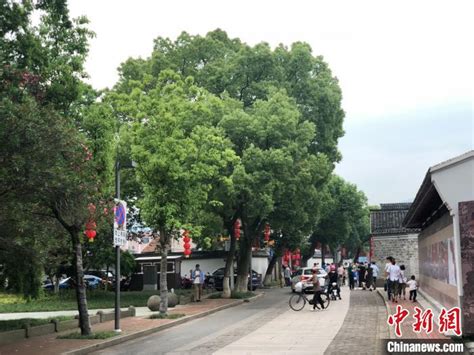 浙江千年古县城复兴记：内修气质外修颜值活态传承古韵 天山网 新疆新闻门户