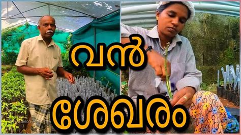 വിദേശ കാട്ടുപഴങ്ങളുടെ വൻശേഖരവുമായി 30 വർഷം പഴക്കമുള്ള ഒരു നഴ്സറി youtube