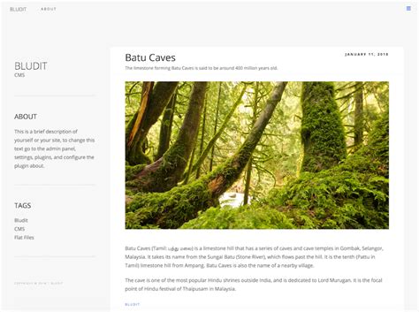Log Themes Bludit Cms