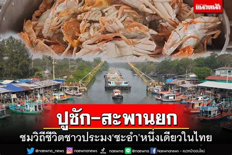 ข่าว Like สาระ หนึ่งเดียวในไทย ชมวิถีชีวิตชาวประมง ลิ้มรสปูม้าสดอร่อย
