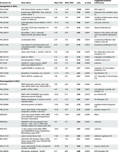 Differential Gene Expression In Bone Marrow Of Mice Transplanted With