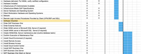 SAP Business One Project Plan Tactical Project Manager