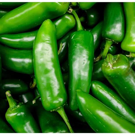Jalapeno
