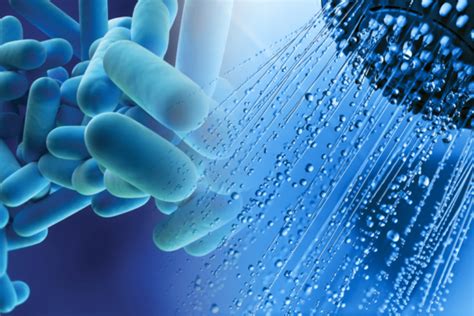 Nf Validation Nf Validation En