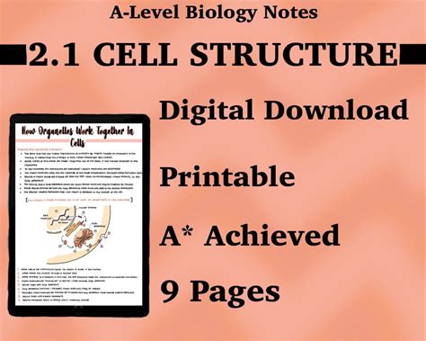 Ocr A Level Biology Notes 21 Cell Structure A4 Printable Etsy Uk