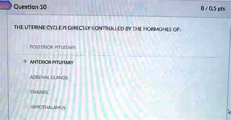 Solved Question Pts The Uterine Cycle Is Directly Controlled