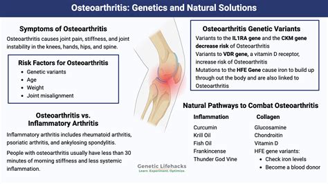 Osteoarthritis The Role Of Genetics And Natural Solutions