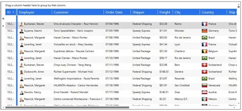 Available Views In Xceed Datagrid For Wpf Xceed