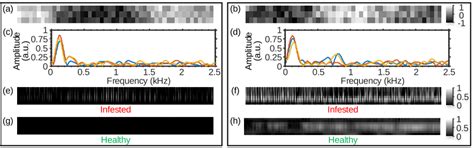 Pdf Monitoring The Red Palm Weevil Infestation Using Machine Learning And Optical Sensing
