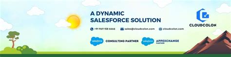 Abhishek Jangitwar Technical Lead Cloudcolon Salesforce