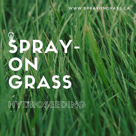 Spray On Grass Hydroseeding Spray On Grass Hydroseeding