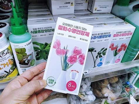 다이소 식물영양제 수경재배 화초영양제 알비료 원예용품 추천템 네이버 블로그