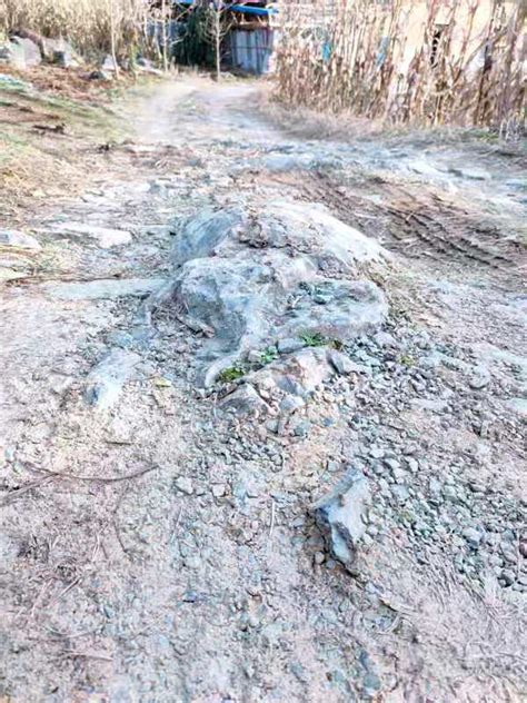 损坏的路，谁来修复？ 恩施土家族苗族自治州州长夏锡璠 恩施州 湖北省 领导留言板 人民网